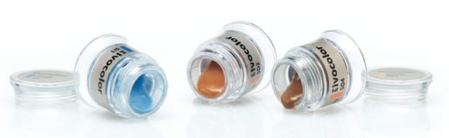 IPS Ivocolor Shade Guide Shades St - Dentalringen